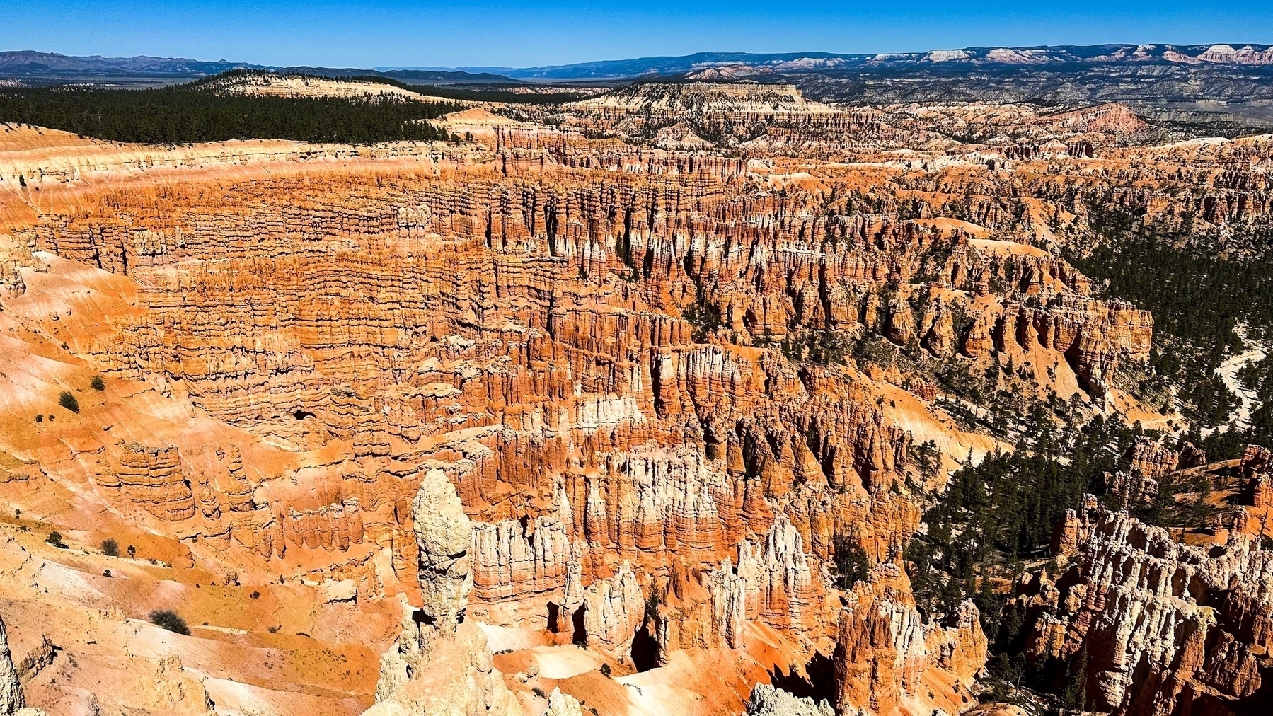 The Adventures of Reba - Bryce Canyon National Park